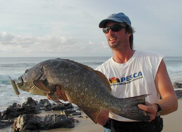 Reel1in Sportfishing