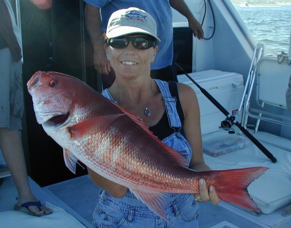 Reel1in Sportfishing
